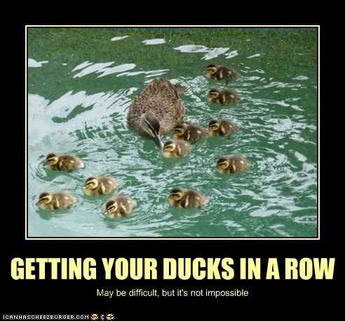 O que significa "get your ducks in a row" em inglês? - inFlux
